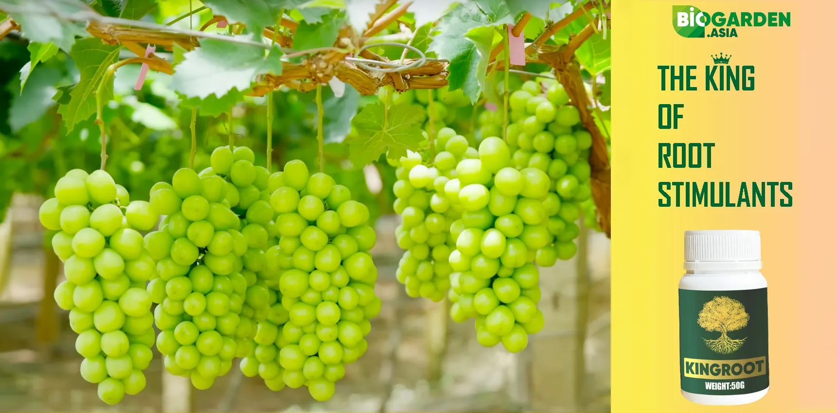 Homepage - Biogarden.Asia